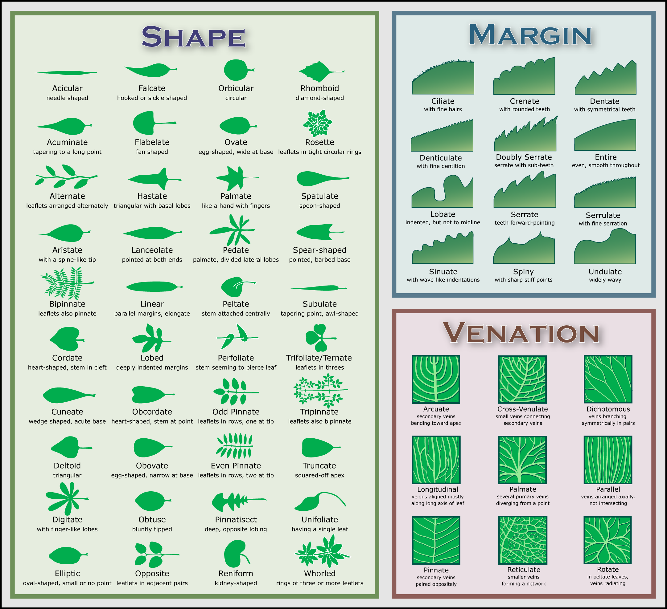 Garden Plant Identification Service Perth Metro Area Guildford Garden Plant Identification Service Perth Metro Area Guildford